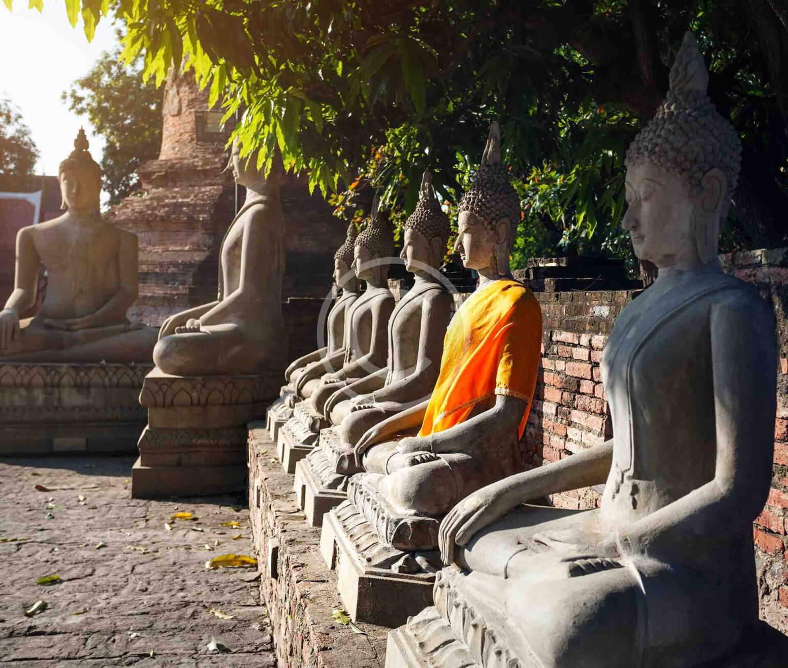 Dharma Name Conferment Ceremony – Great Lotus – Buddhist Temple